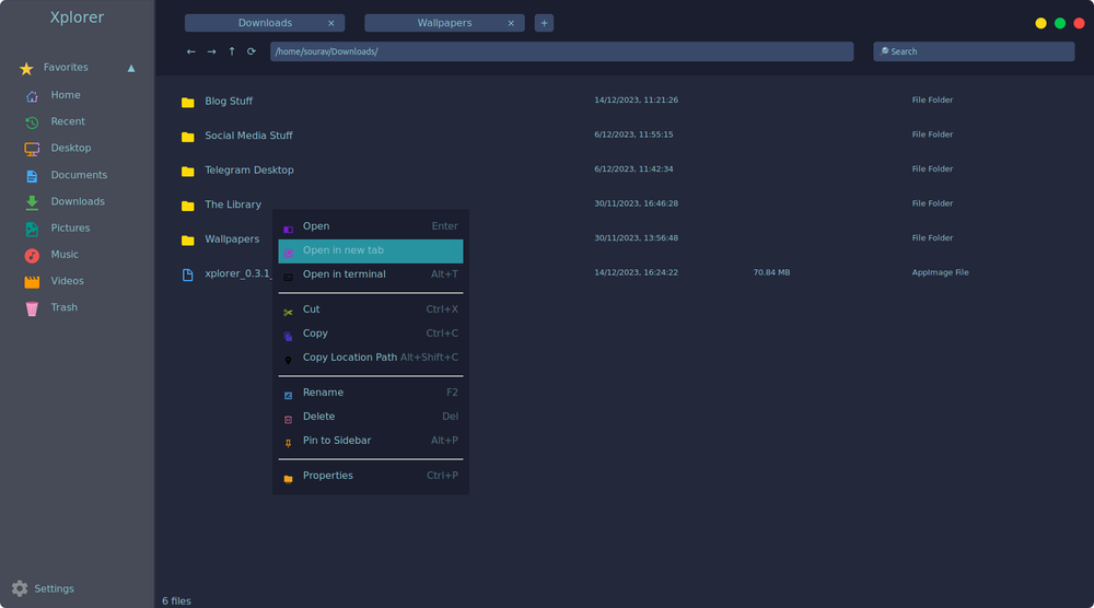 Xplorer: Not Just a Pretty Open-Source File Manager!